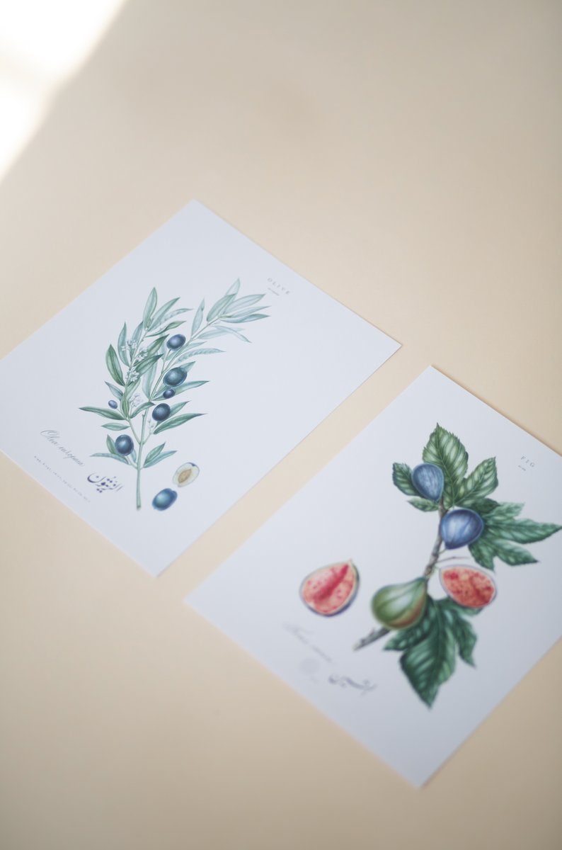 Fruits of the Qur'an - Islamic Botanicals – silsila